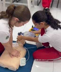 A Importância das Técnicas de Suporte Básico de Vida (SBV) no ...